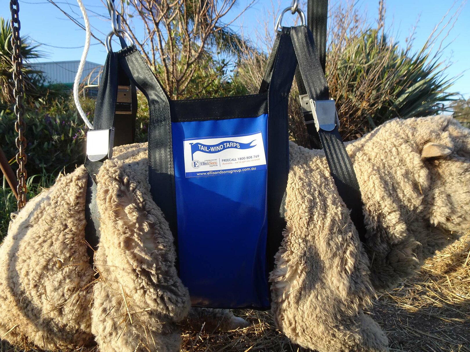 Cow Slings | Ellis & Sons Group